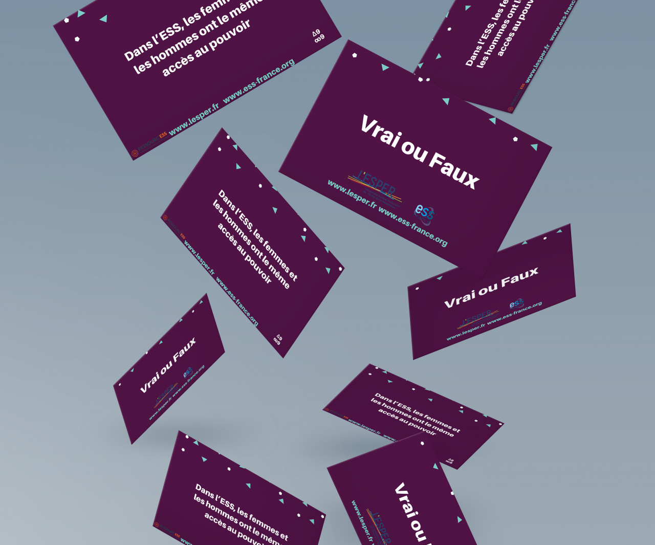 Outil pédagogique : les cartes Vrai ou Faux | Ressources | ESS France Outil pédagogique : les cartes Vrai ou Faux | Ressources | ESS France